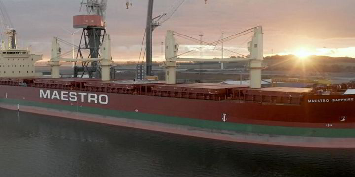 Devbulk strikes twice to lift fleet to a dozen vessels | TradeWinds