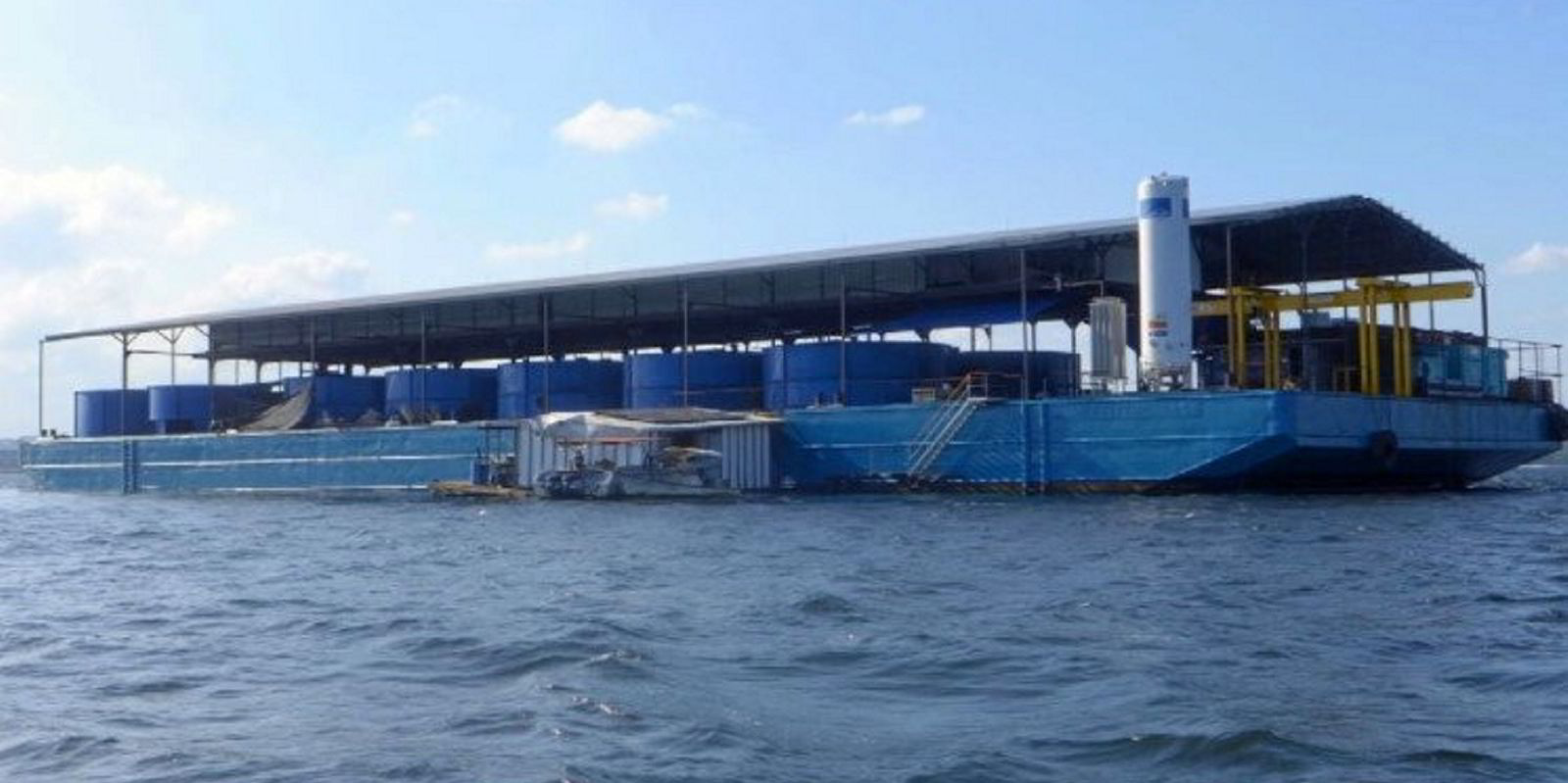 Manufacturing giant Siemens invests in aquaculture firm farming fish on ...