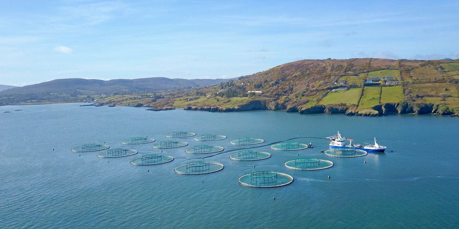 Mowi gets green light for Ireland Bantry Bay farm expansion after 10 ...