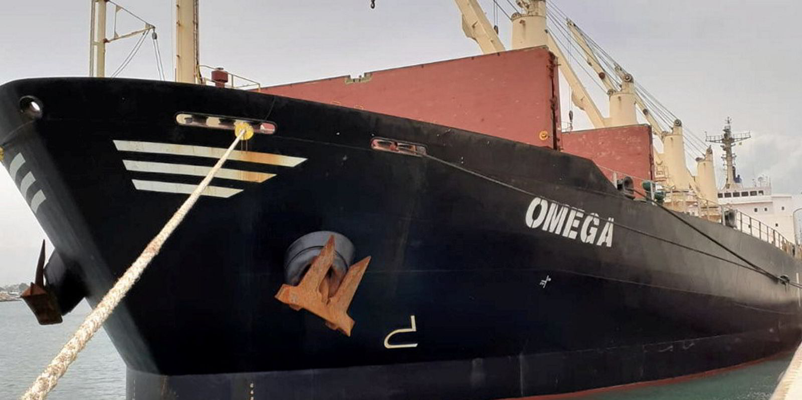 Bulker in danger of sinking after Yangtze River collision | TradeWinds