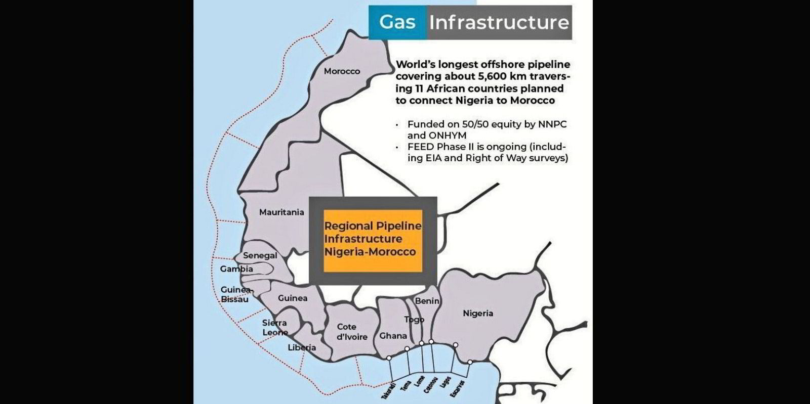 Hedging strategy | 'Producing green hydrogen and ammonia protects us ...