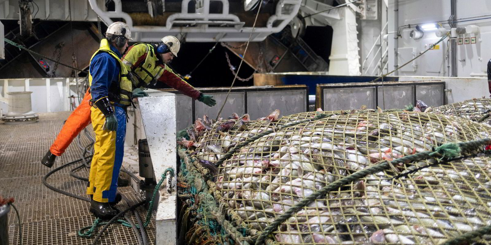 80% surge in fuel costs drag Leroy Seafood's whitefish harvesting operations into the red ...