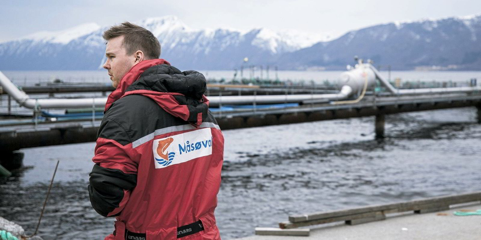 Norwegian salmon farmer suspects deadly ISA virus at site with more ...