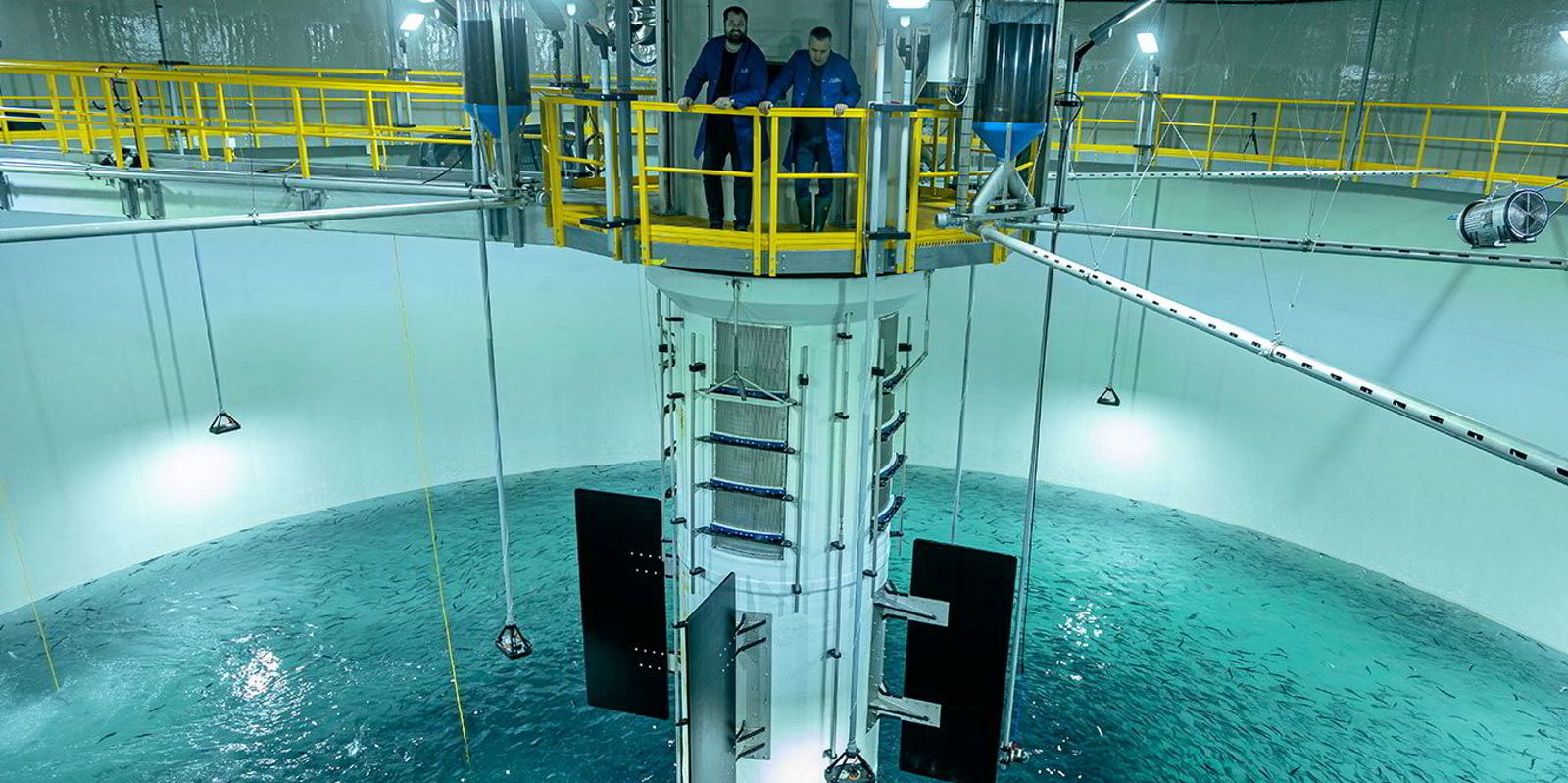 'The moment we have all been waiting for': Salmon Evolution pumps first ...