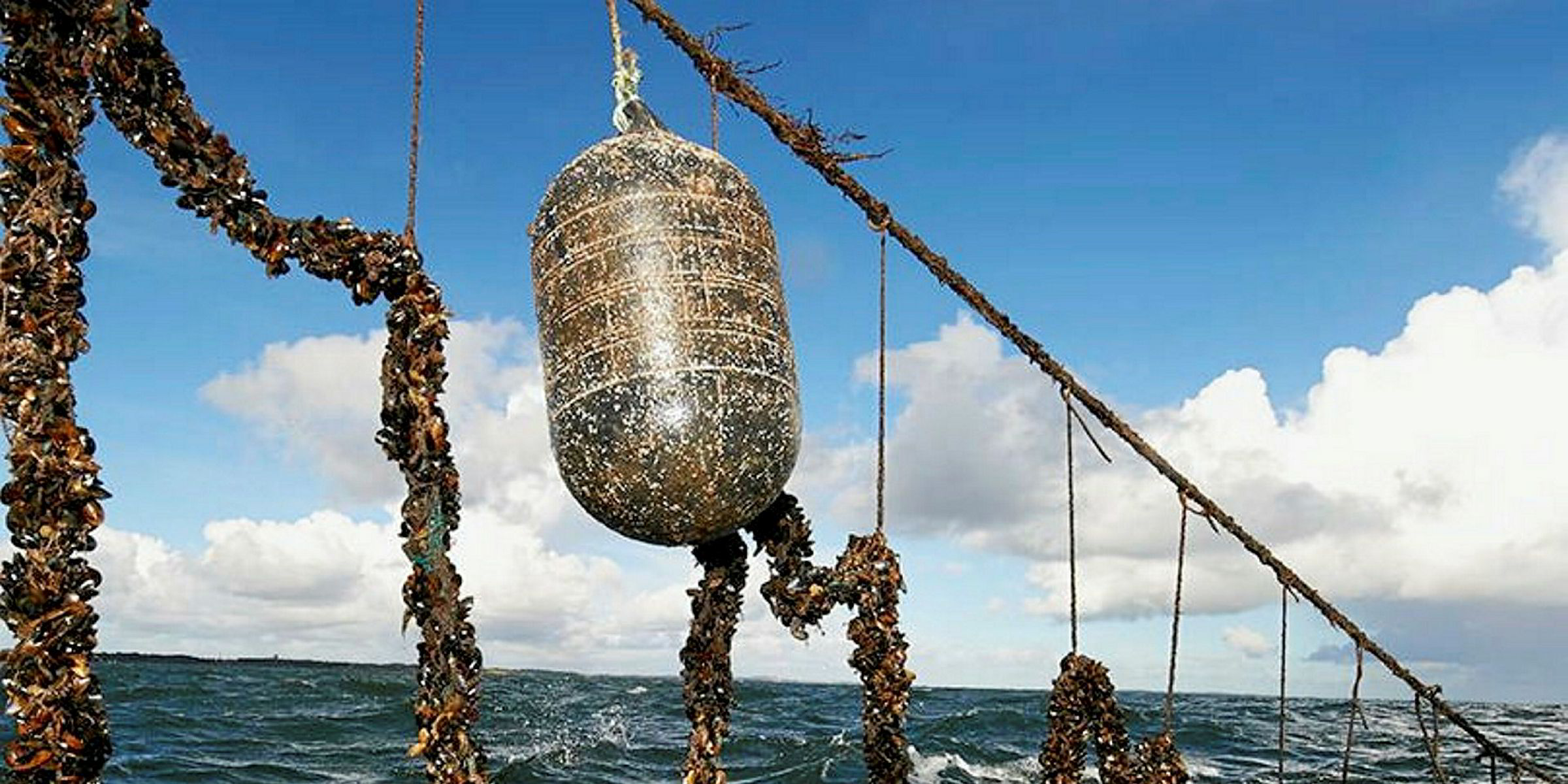 Can California create a mussel farming industry from scratch ...