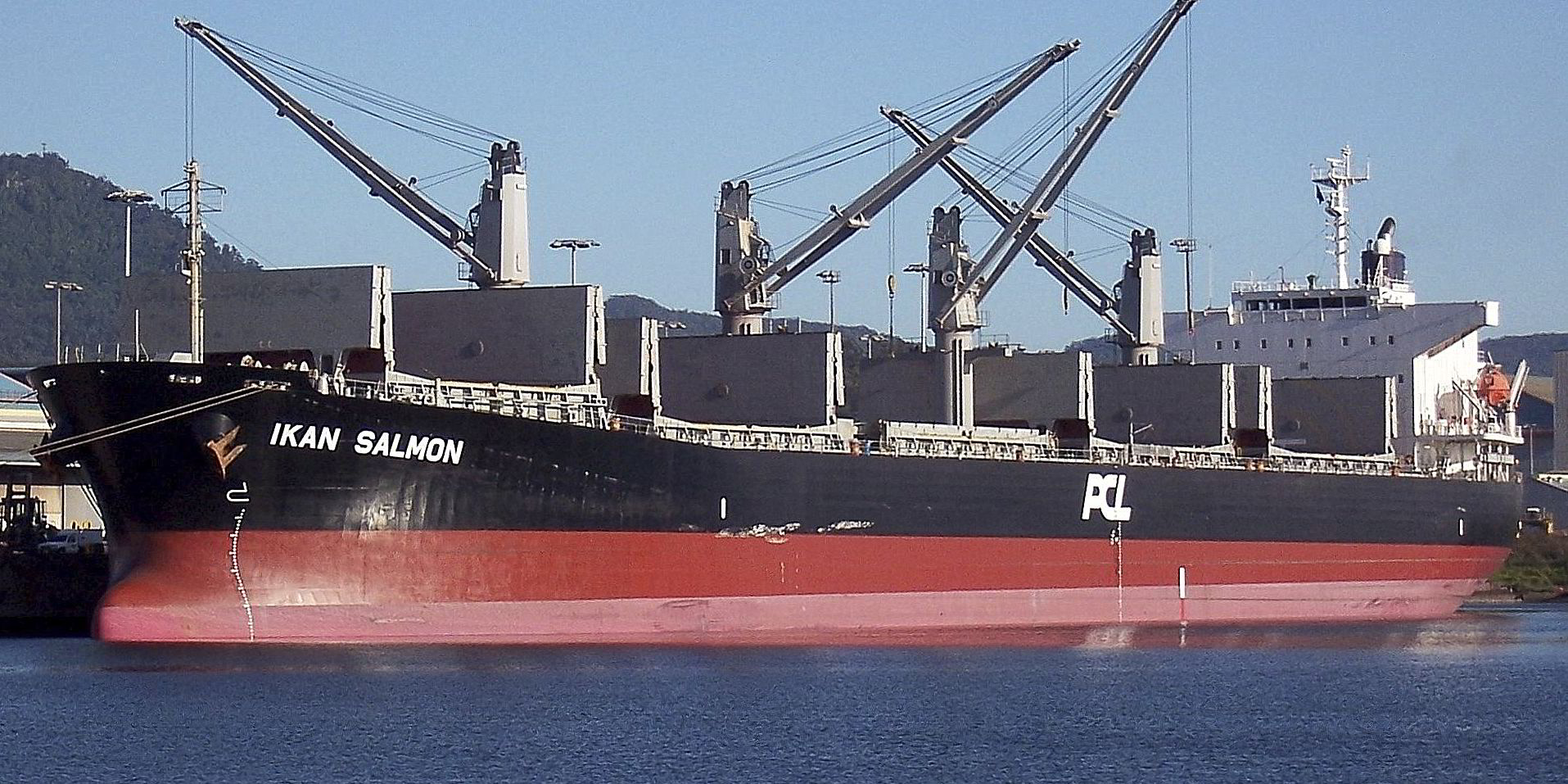 Pacific Carriers trims rate reduction call on charters | TradeWinds