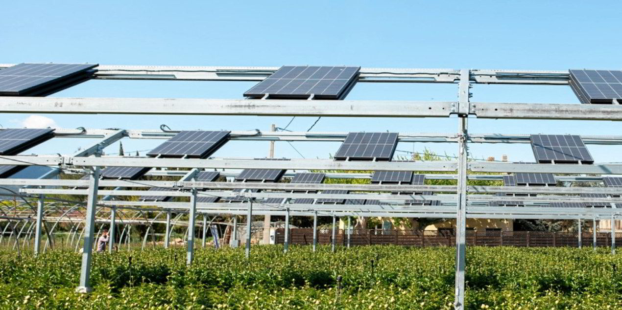 Now that's what you call a solar farm... Oil giant TotalEnergies swoops ...