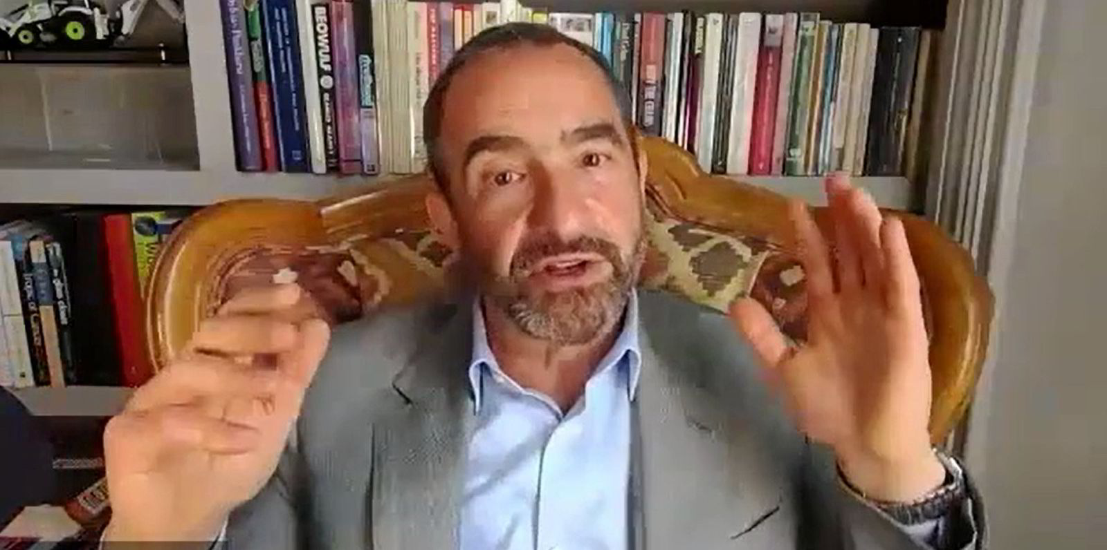 Liebreich: 'We have to learn to love blue hydrogen — and make sure it's ...