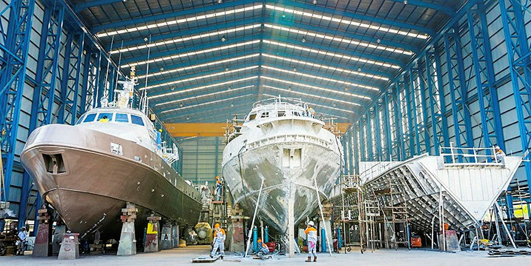 Future set fair for shipyard survivor Penguin International | TradeWinds