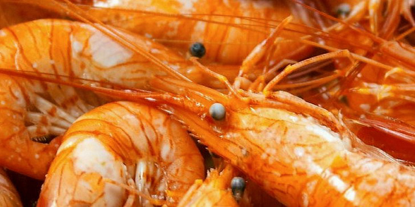 Argentina Seafood Exports Spike On High Red Shrimp Landings