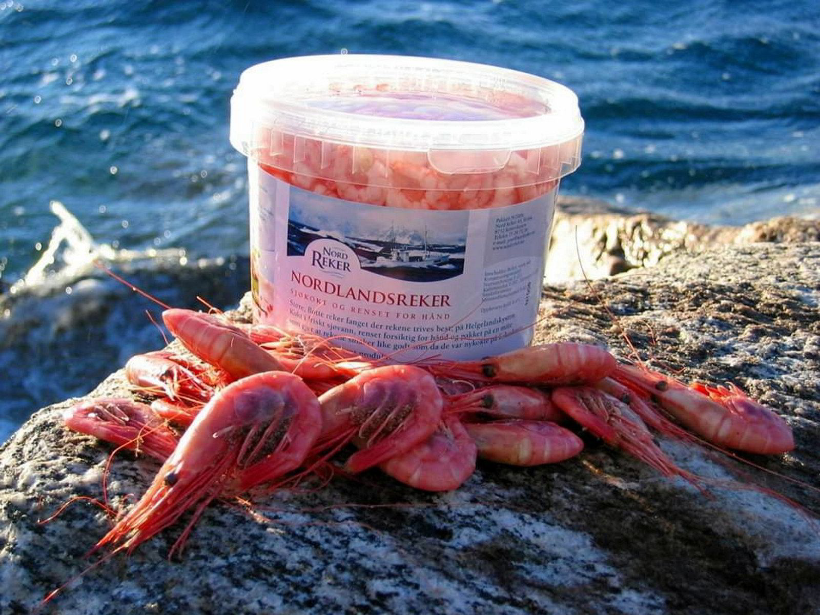 Bodil har permittert ti ansatte: – I september er både jeg og ...