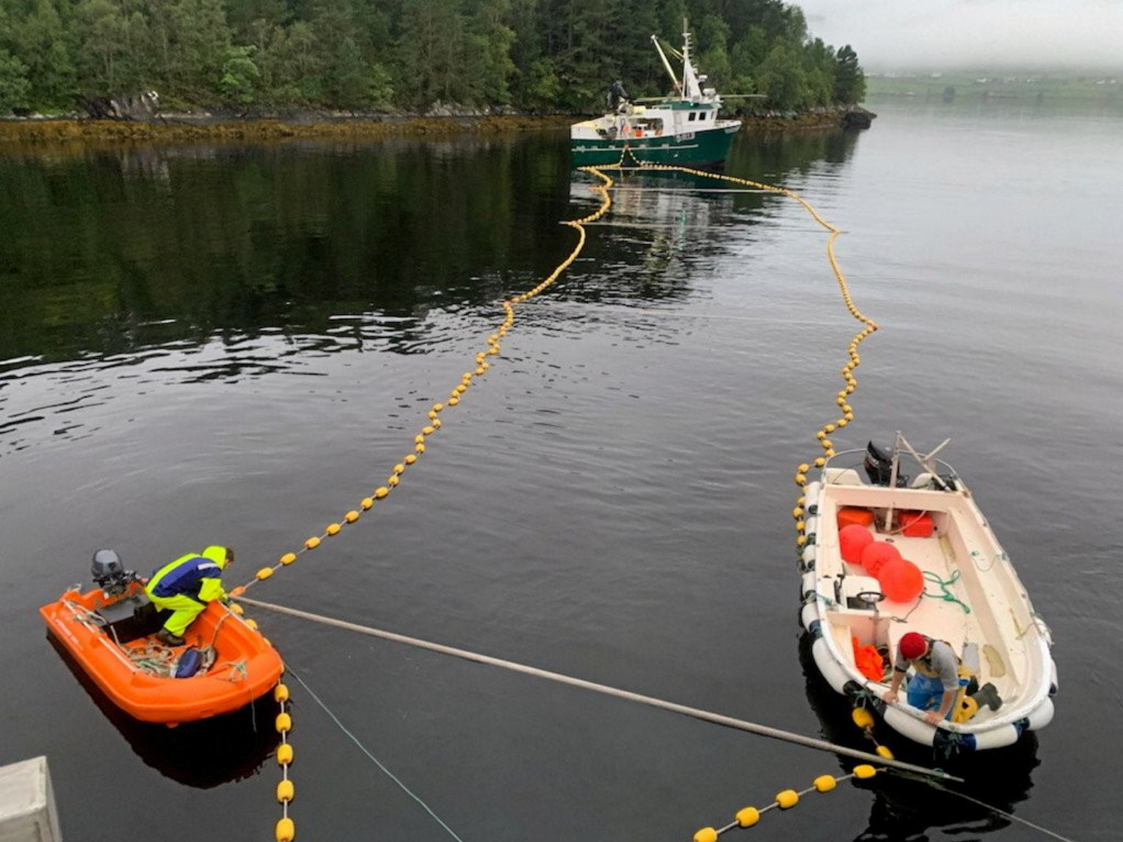 Fisket makrell for 5-6 millioner kroner på fem uker | Fiskeribladet
