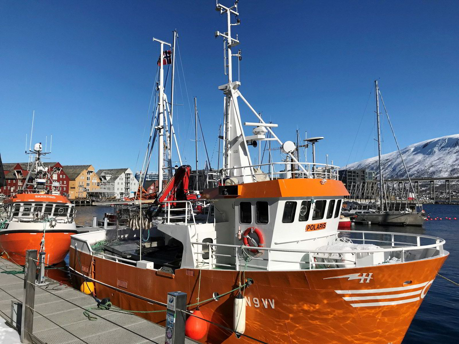 Kom til Finnmark. Det er kolossale mengder fisk | Fiskeribladet