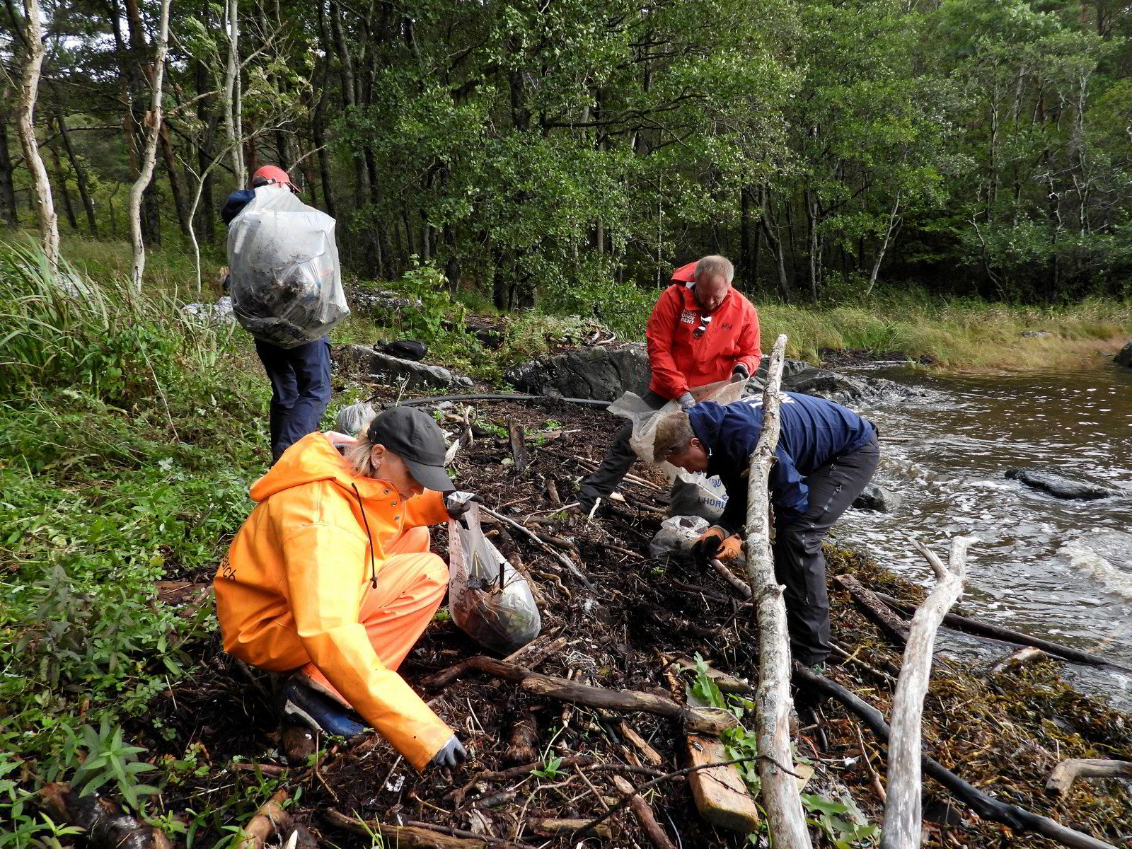 Ta på deg hanskane – rydd opp! | IntraFish.no