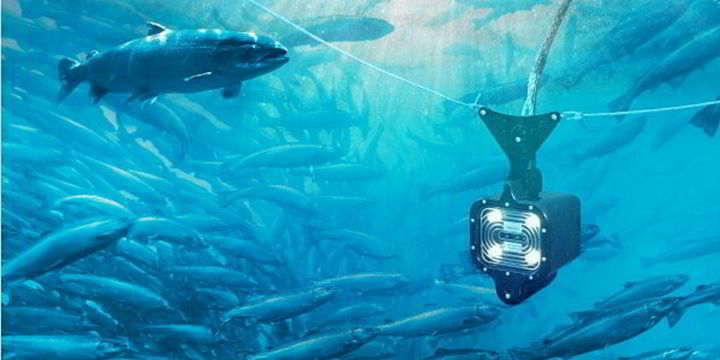 Sponsored Content: FALCON Biomass: the power of insight