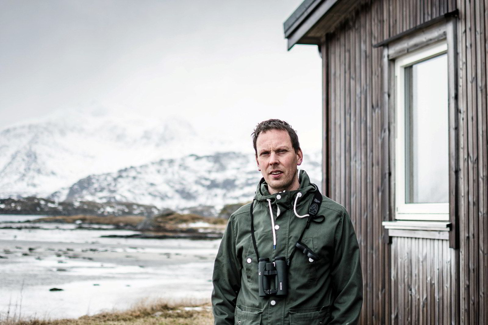 Rødlisten 2021: Det blir stadig verre for sjøfuglene, mens pigghåen går ...