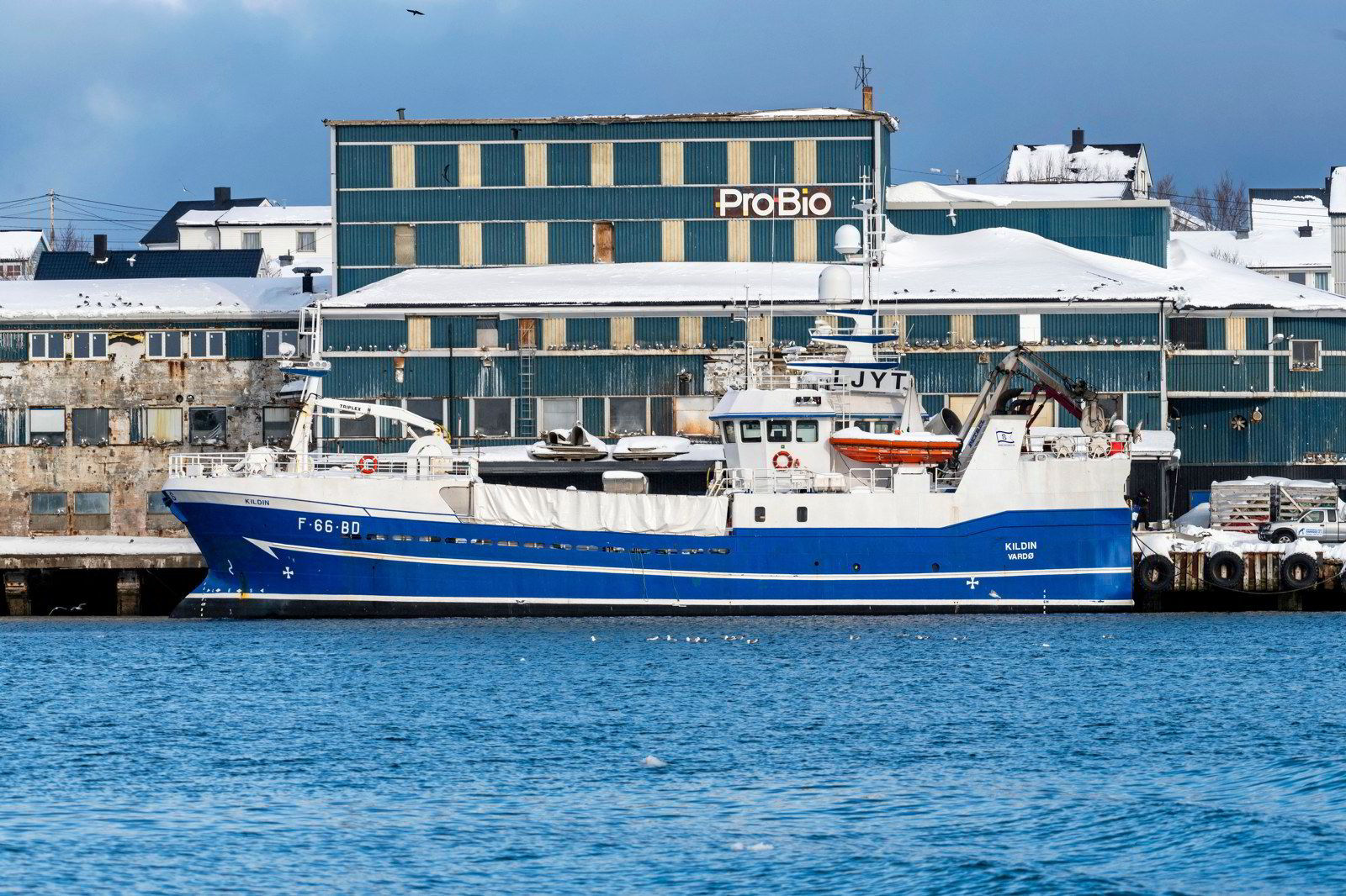 Vi som leverer levende snøkrabbe, losser hver 14. dag. Det blir det ...