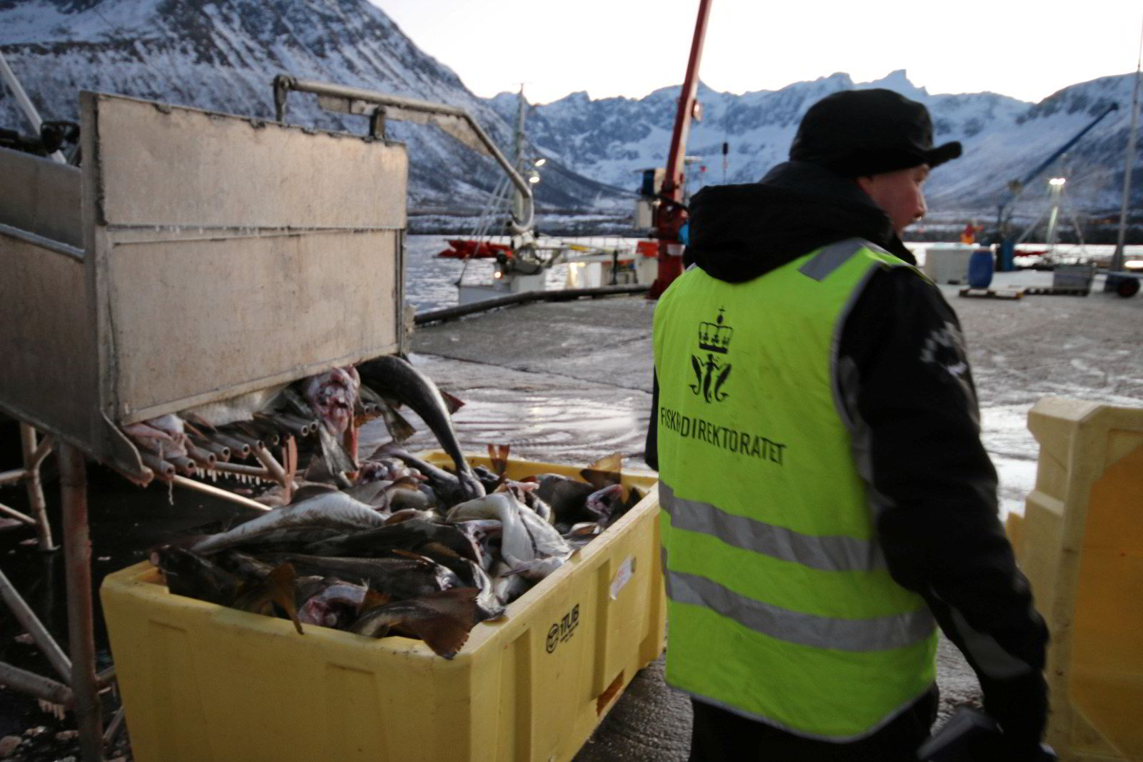 Flere tips om «gule lapper» førte til kontrolloffensiv i påska. – Mye ...