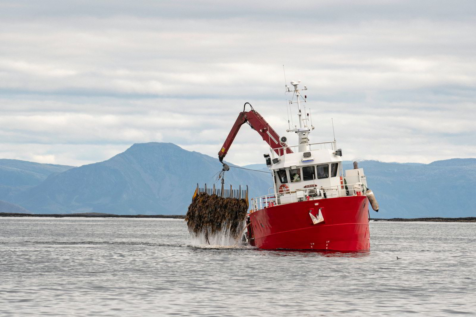 Amerikansk storkonsern står bak selskap som har høstet tare for 14 ...