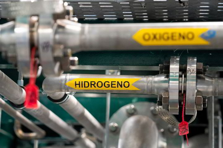 Lack of experience in large-scale green hydrogen projects increases ...
