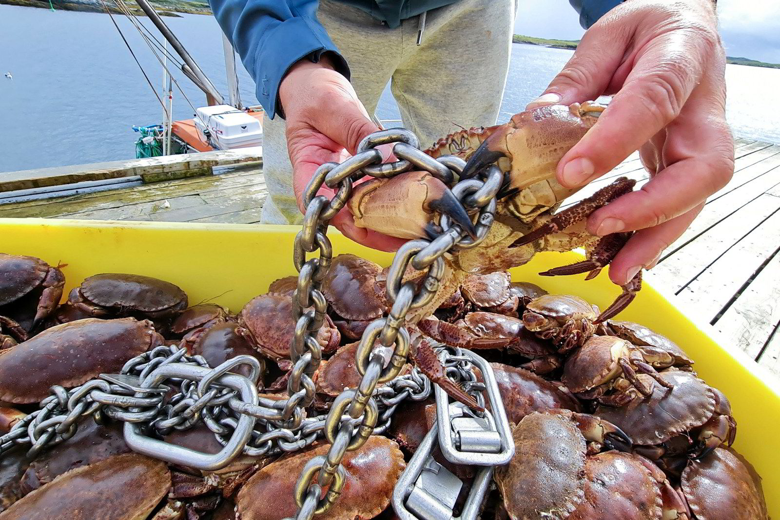 Fortsetter fiskerne å holde alt hemmelig, har vi til slutt ingen bruk ...