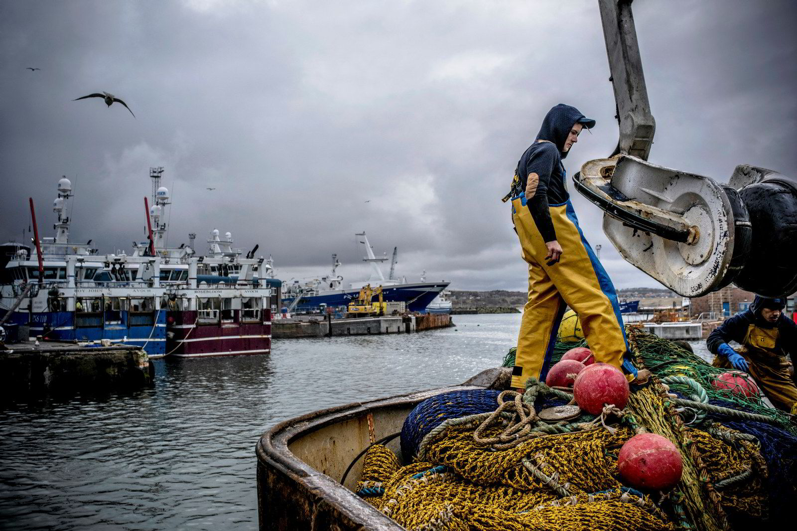 'The future of aquaculture in the EU is bleak': Would a new unified ...