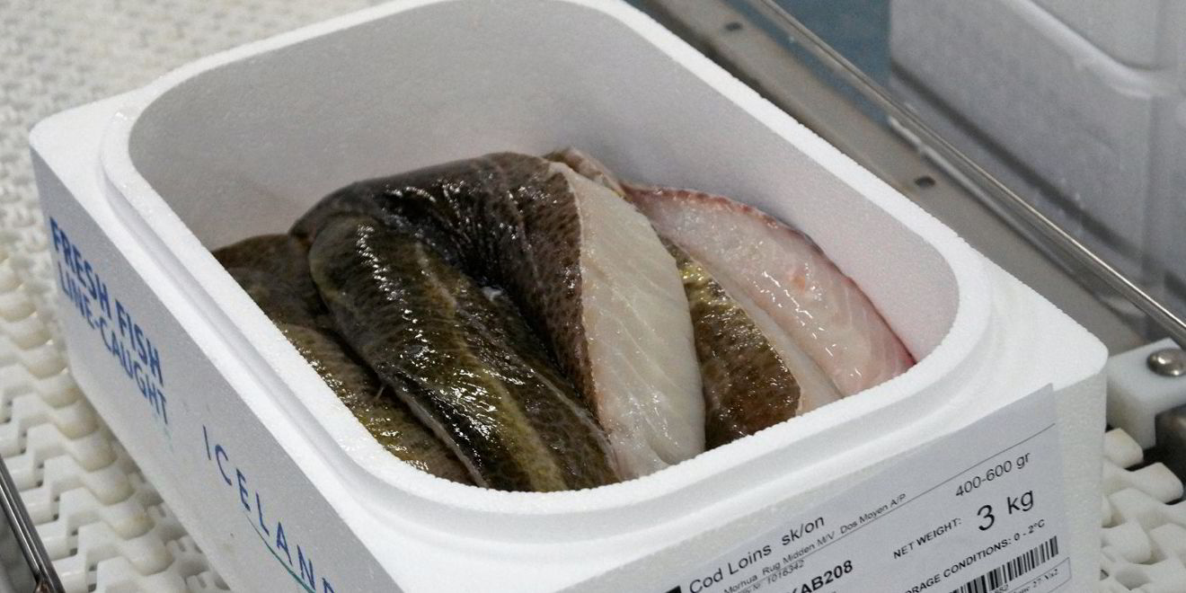 Iceland's Vinnslustodin acquires fishing vessel, processing group from ...