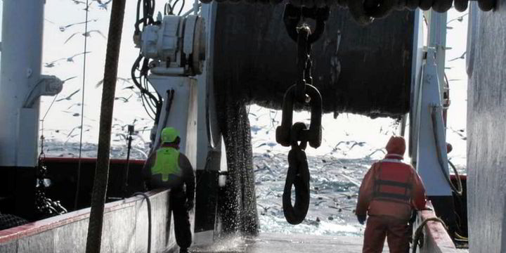 While Alaska pollock block prices fall, premium for US fast-food chains ...