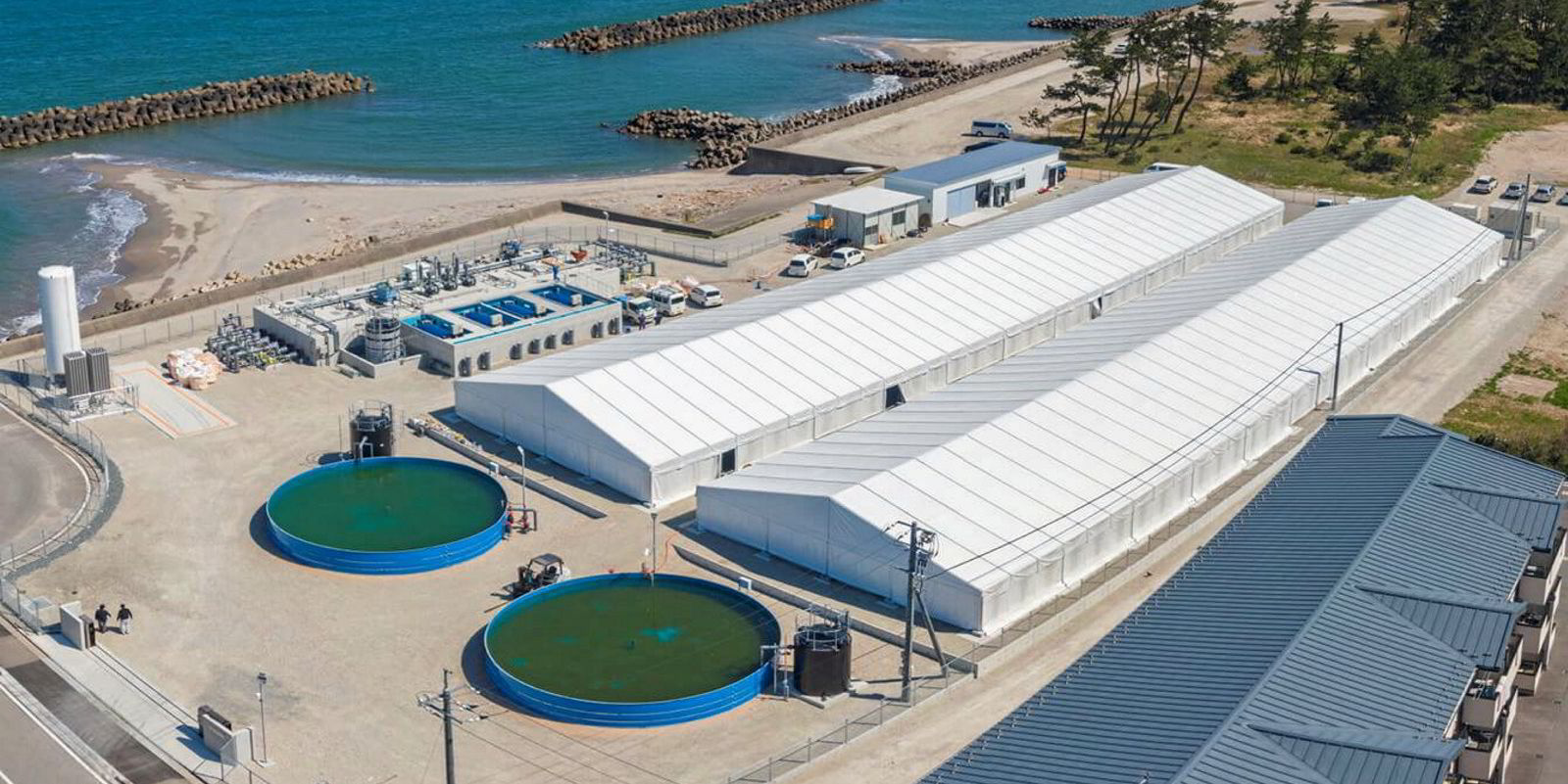 In world-first, Nissui harvests land-based farmed mackerel | IntraFish.com