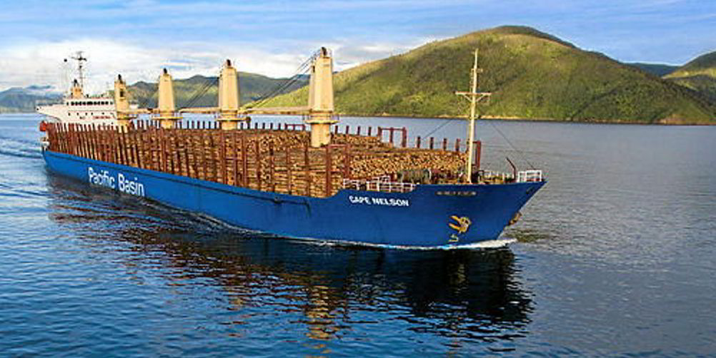 Orix steps up bulker sales drive with deal for handysize pair | TradeWinds
