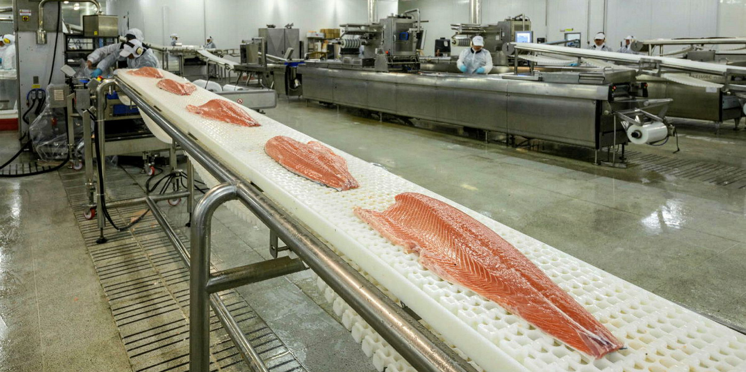 Chilean salmon firms Blumar, Multiexport form JV for new processing ...
