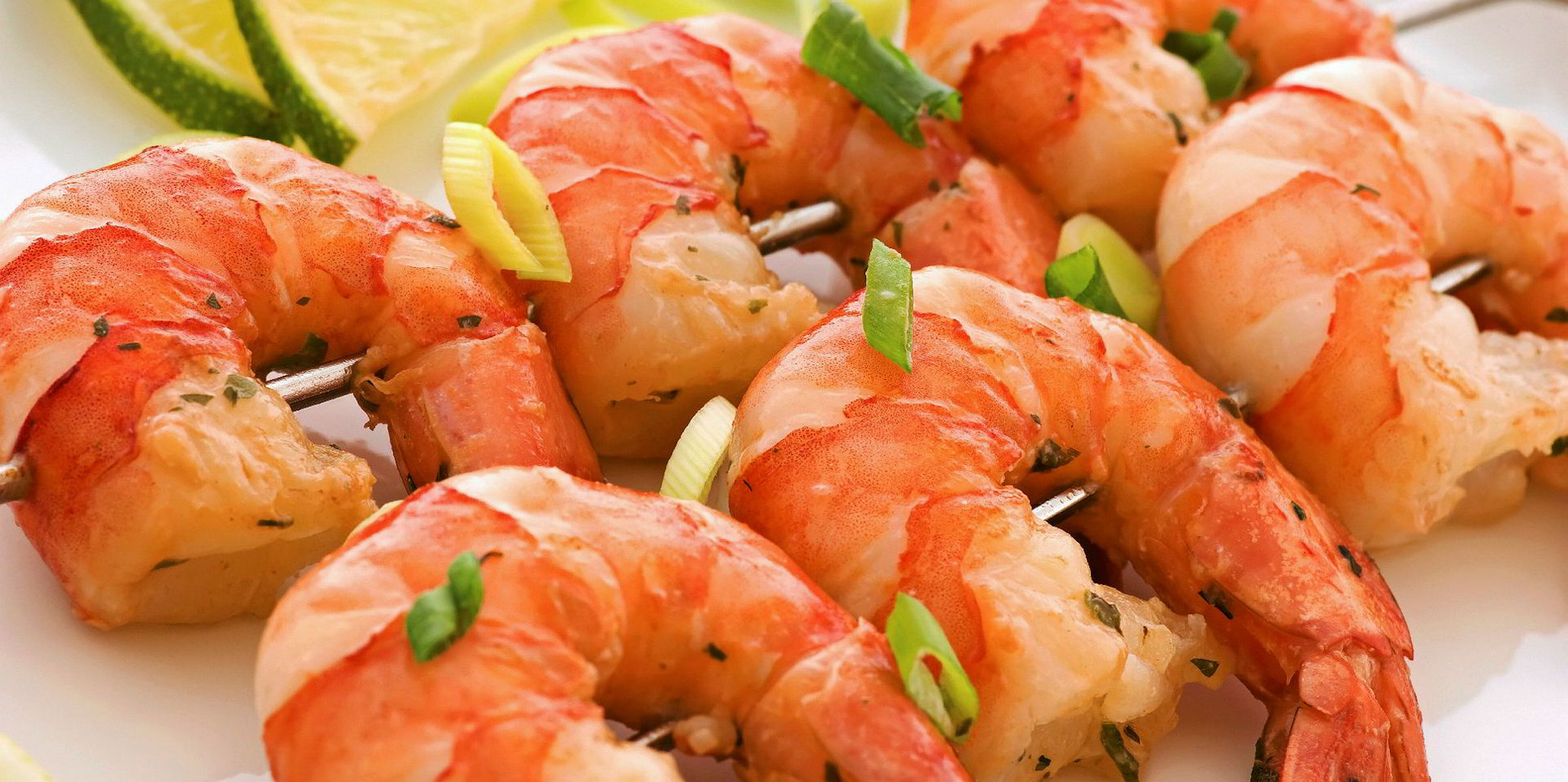 Rabobank: Low shrimp prices 'here to stay' | IntraFish.com