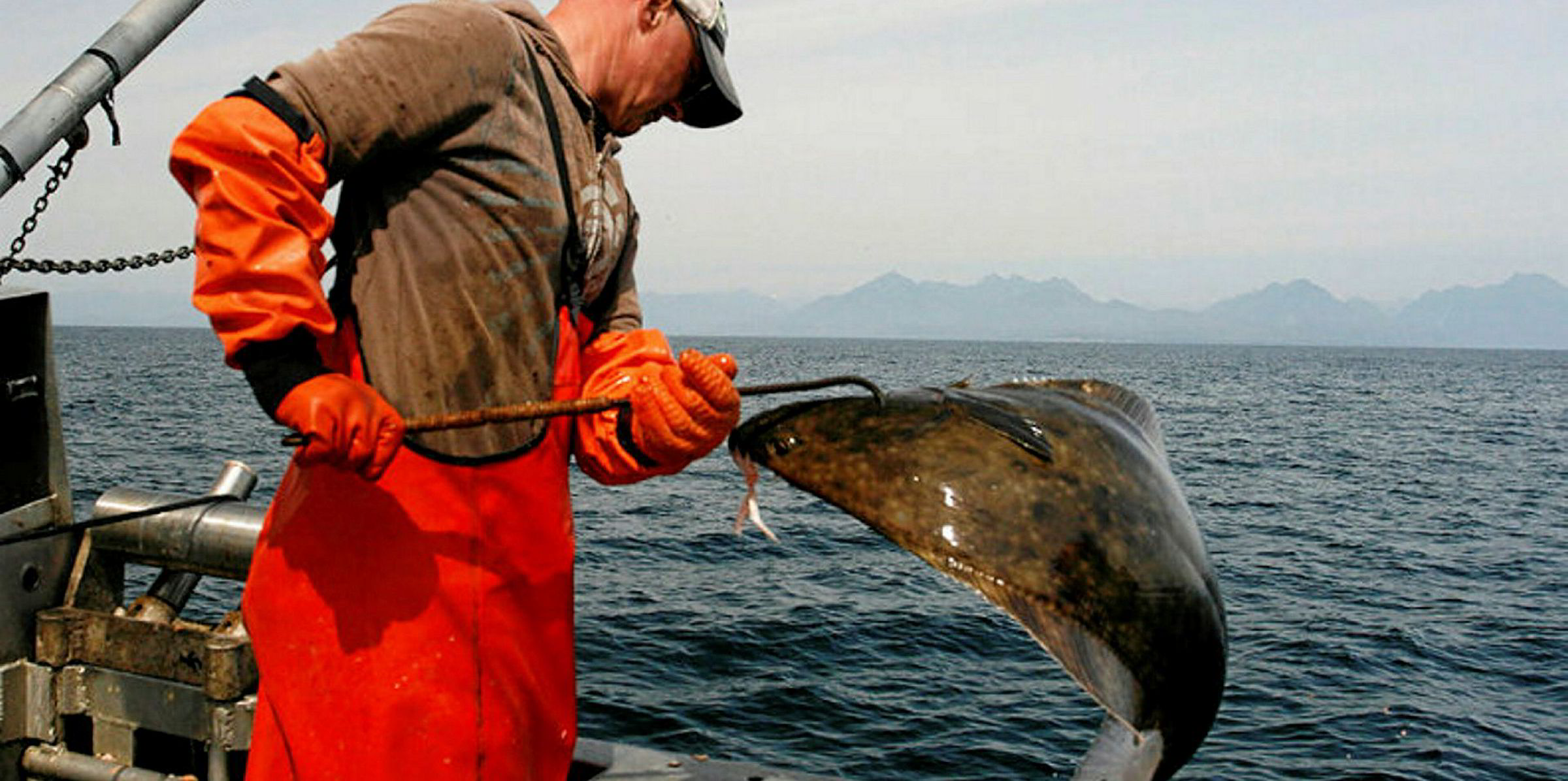 NOAA sets official start date for Alaska halibut season | IntraFish.com