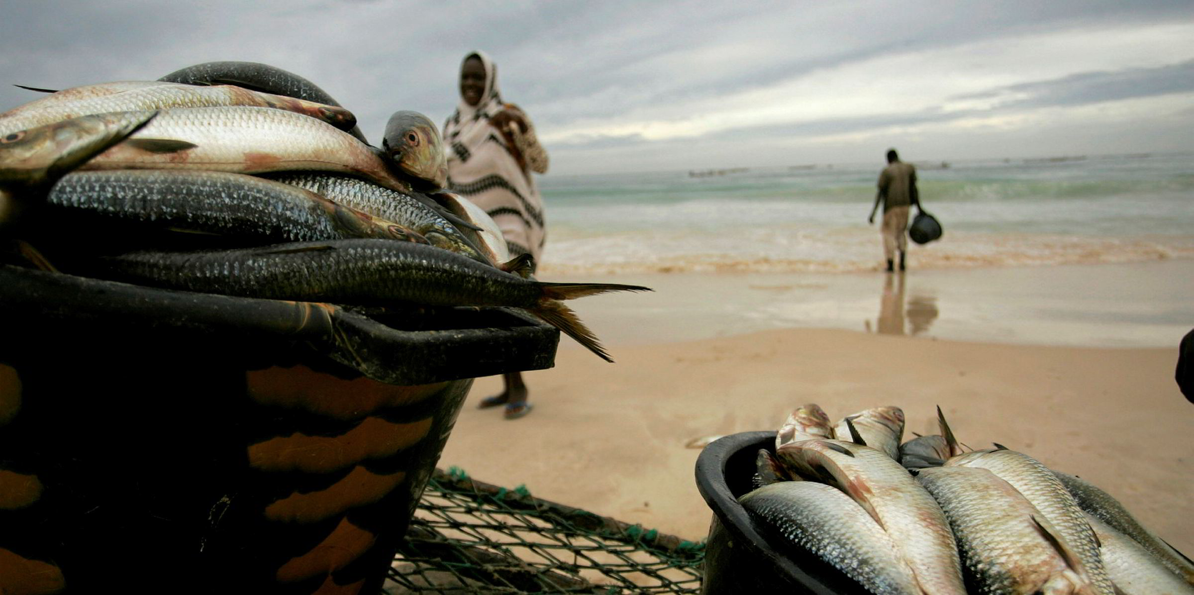 BP lays concrete plans for Greater Tortue Ahmeyim project | Upstream Online