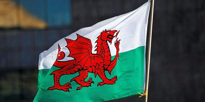 Welsh Seafood Cluster offering 'Dive In' events | IntraFish.com