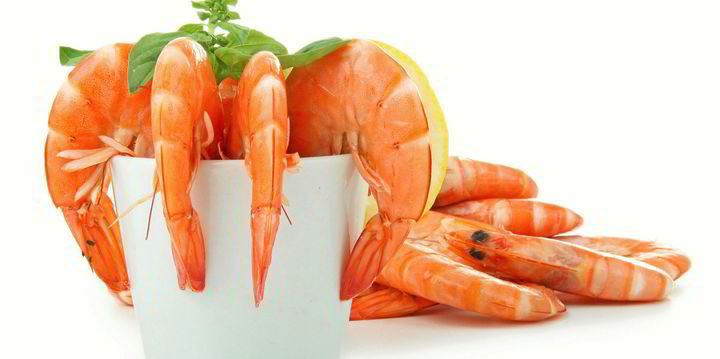 Ecuador's shrimp sustainability initiative establishes feed working ...