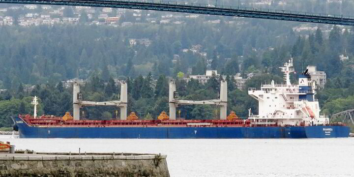 Castor Maritime breaks into ultramax market with first bulker buy in ...