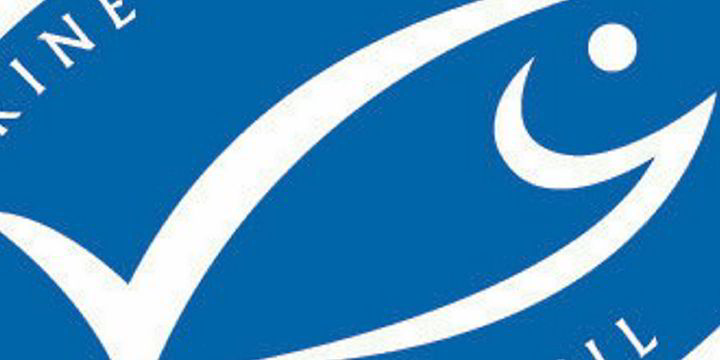 MSC launches public consultation on certification components ...