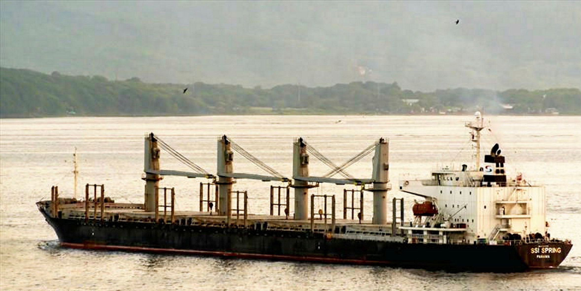 China Changjiang National emerges as buyer of Densay Shipping supramax ...