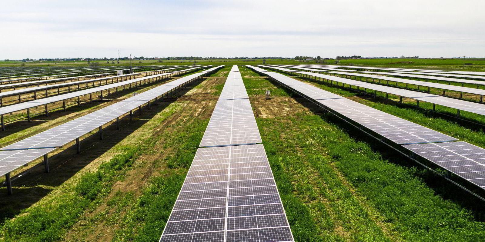 'Focus market' | RWE raises Poland pace with swoop for 3GW solar ...