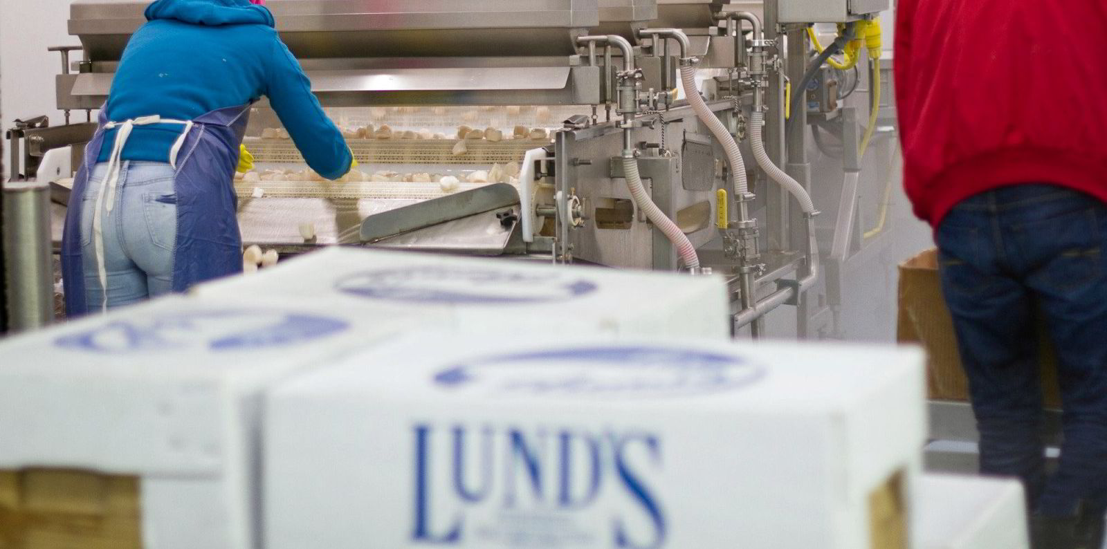 US scallop processor Lund's invests to increase freezing capacity ...