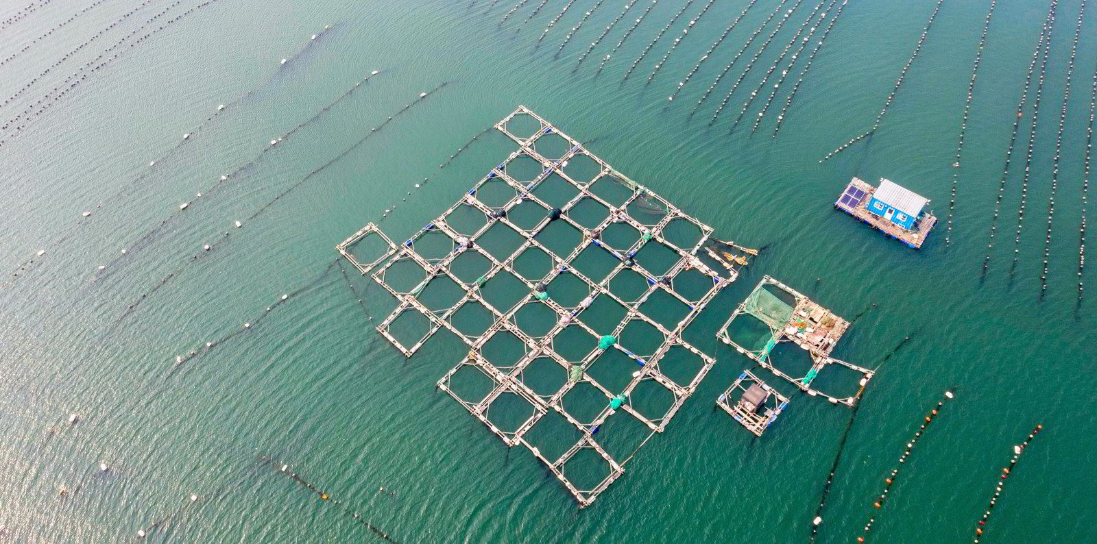 China plans 'world first' floating fish and wind farm linkup ...