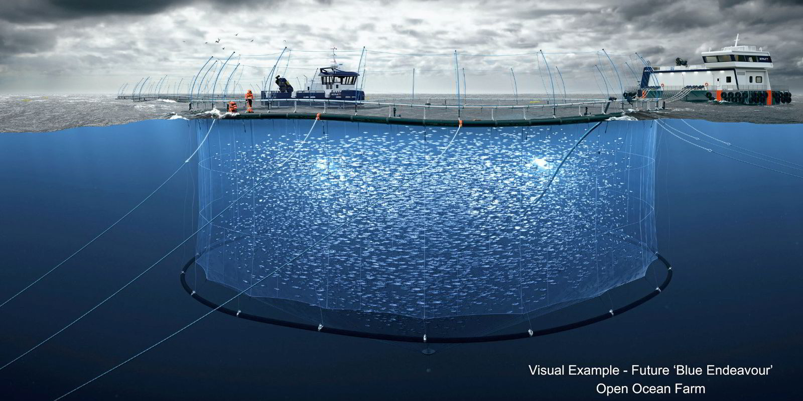 World's first offshore king salmon farming project gets green light ...