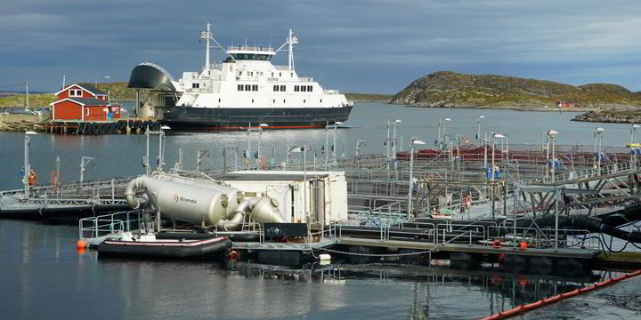 Norwegian salmon farmer Nova Sea cutting employees as tax proposal ...