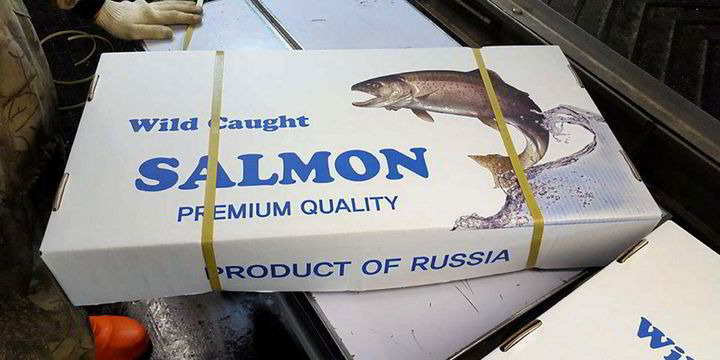 Russia may block salmon exports after wild season ends with record-low ...