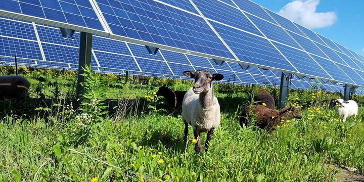 Enel breaks ground on Italy's largest agrivoltaic project with ...