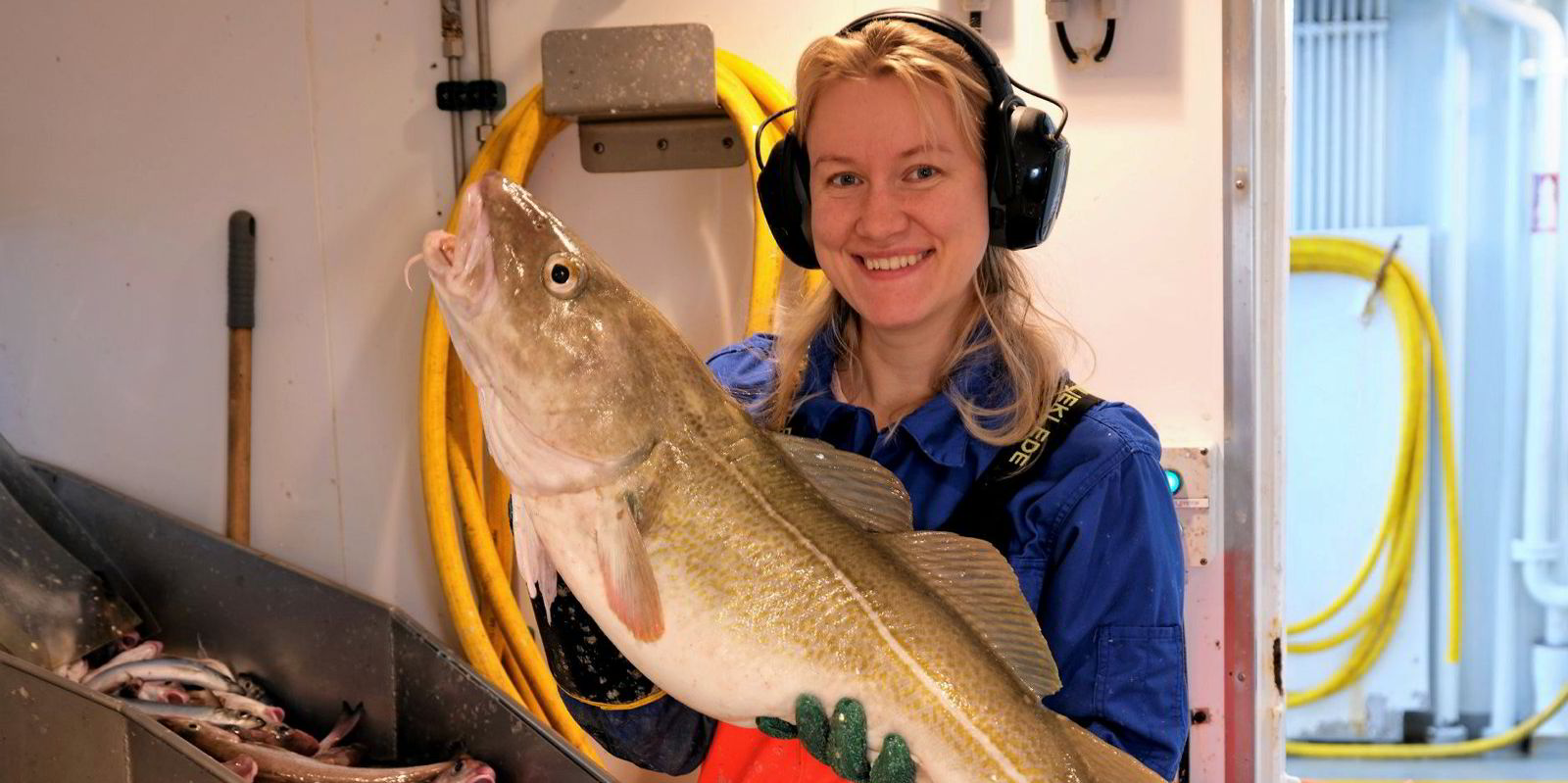 Norway inshore cod fishery could get Marine Stewardship Council eco ...
