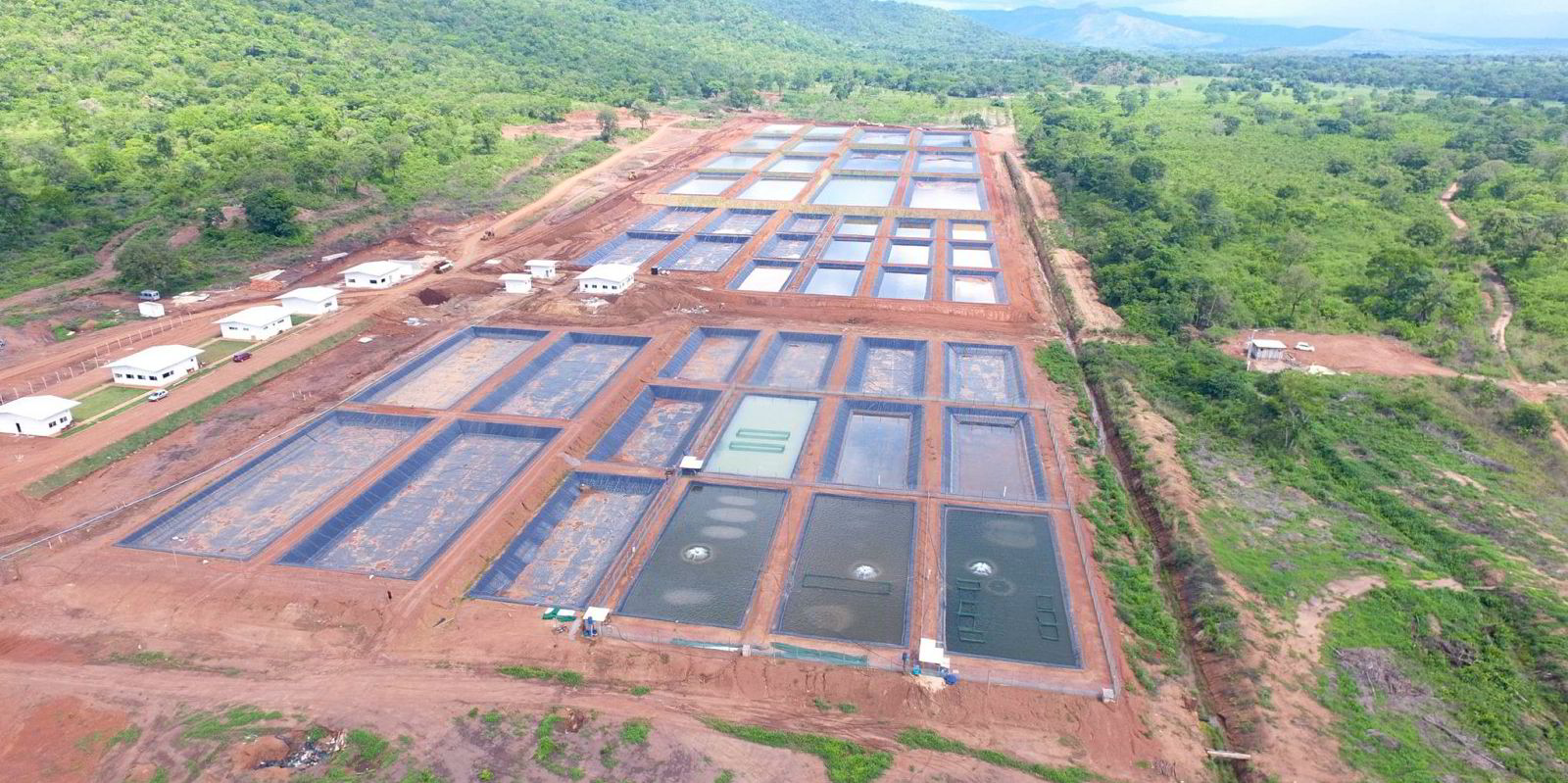 Genetics firm GenoMar opens tilapia breeding and genetics center in ...