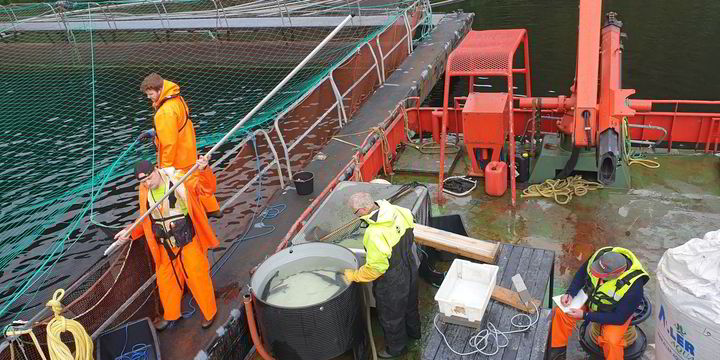 Norwegian authorities report Danish fish feed producer to police over ...