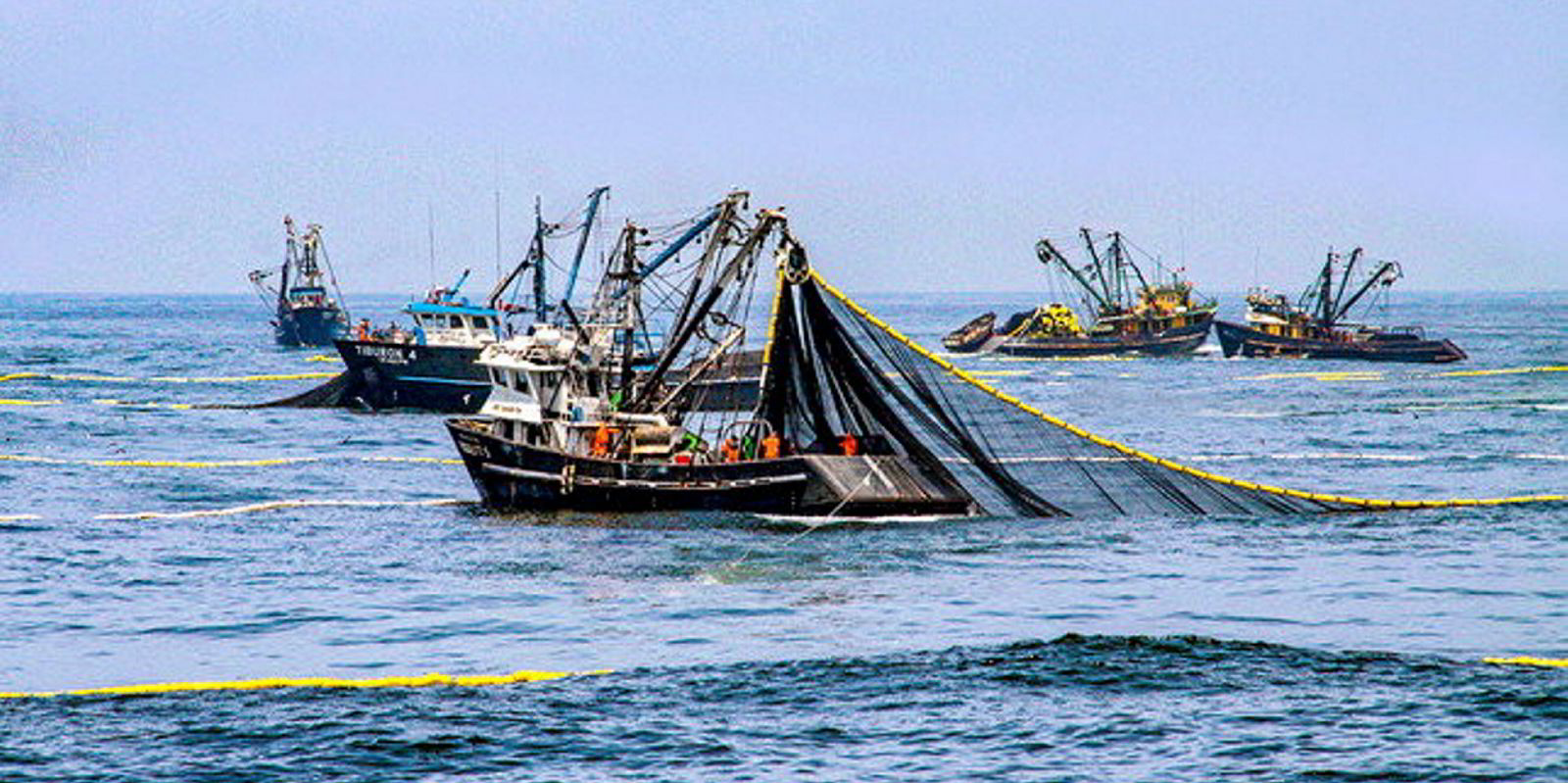 Peruvian anchovy season nearing finish line | IntraFish.com